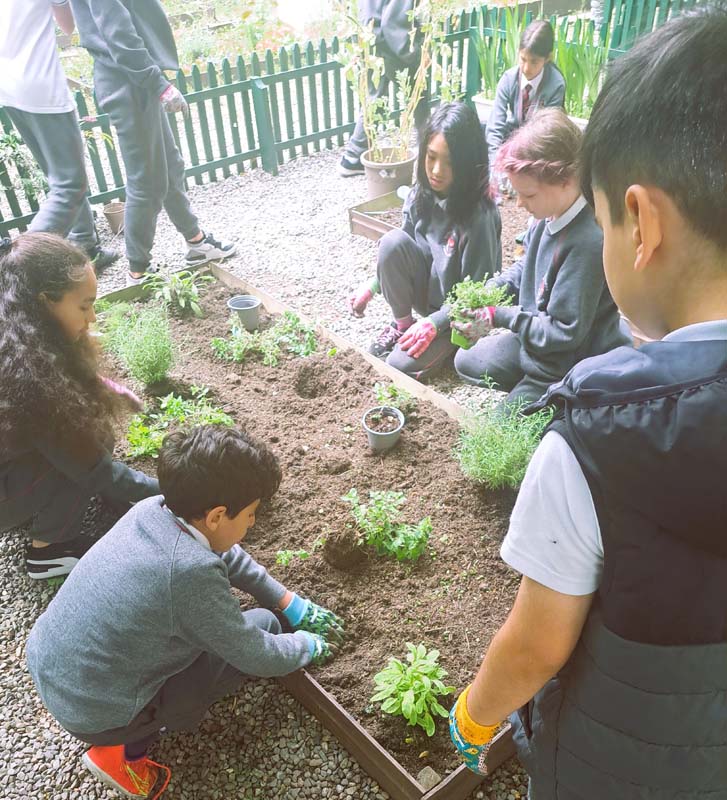 Scoil Chaitrí­ona Baggot Street - Heritage Keepers