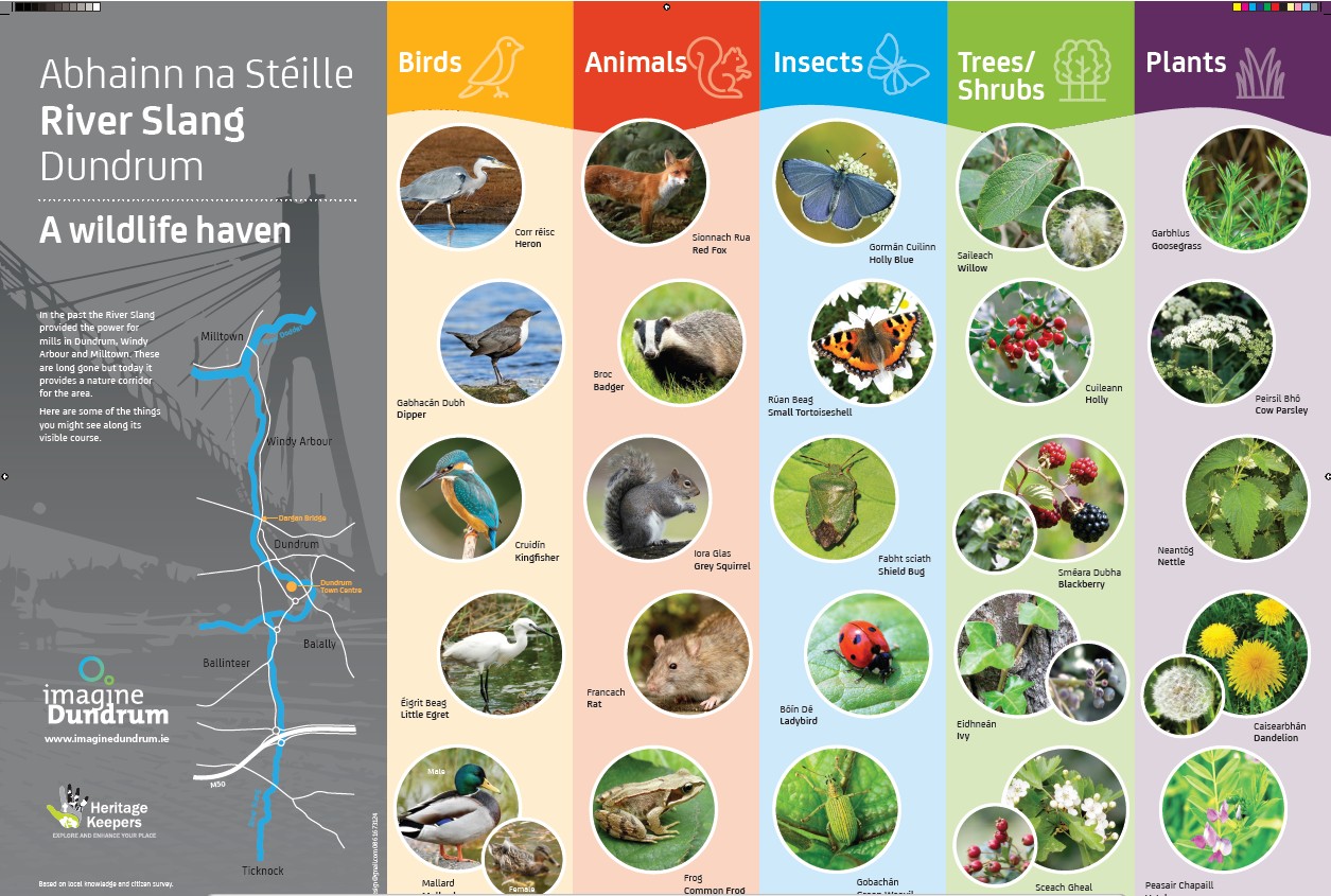 Imagine Dundrum - Heritage Keepers